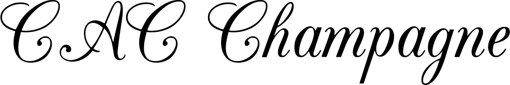 Wedding Invitation Fonts | Customize Your Design With Unique Fonts ...